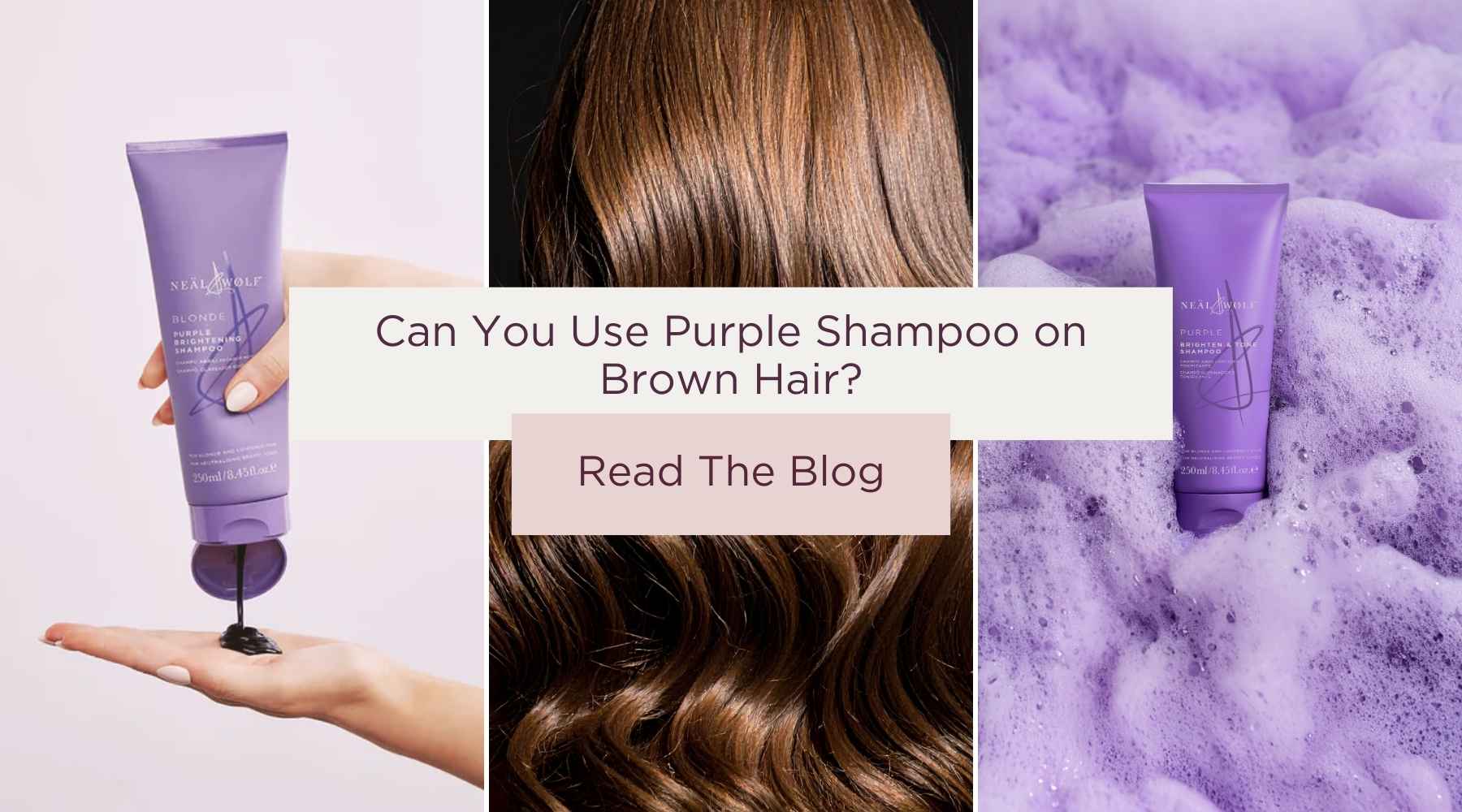 Can You Use Purple Shampoo on Brown Hair - Neäl & Wølf – Neal & Wolf