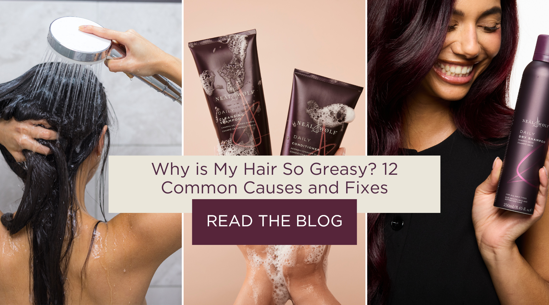 Why is My Hair So Greasy? - Neäl & Wølf – Neal & Wolf